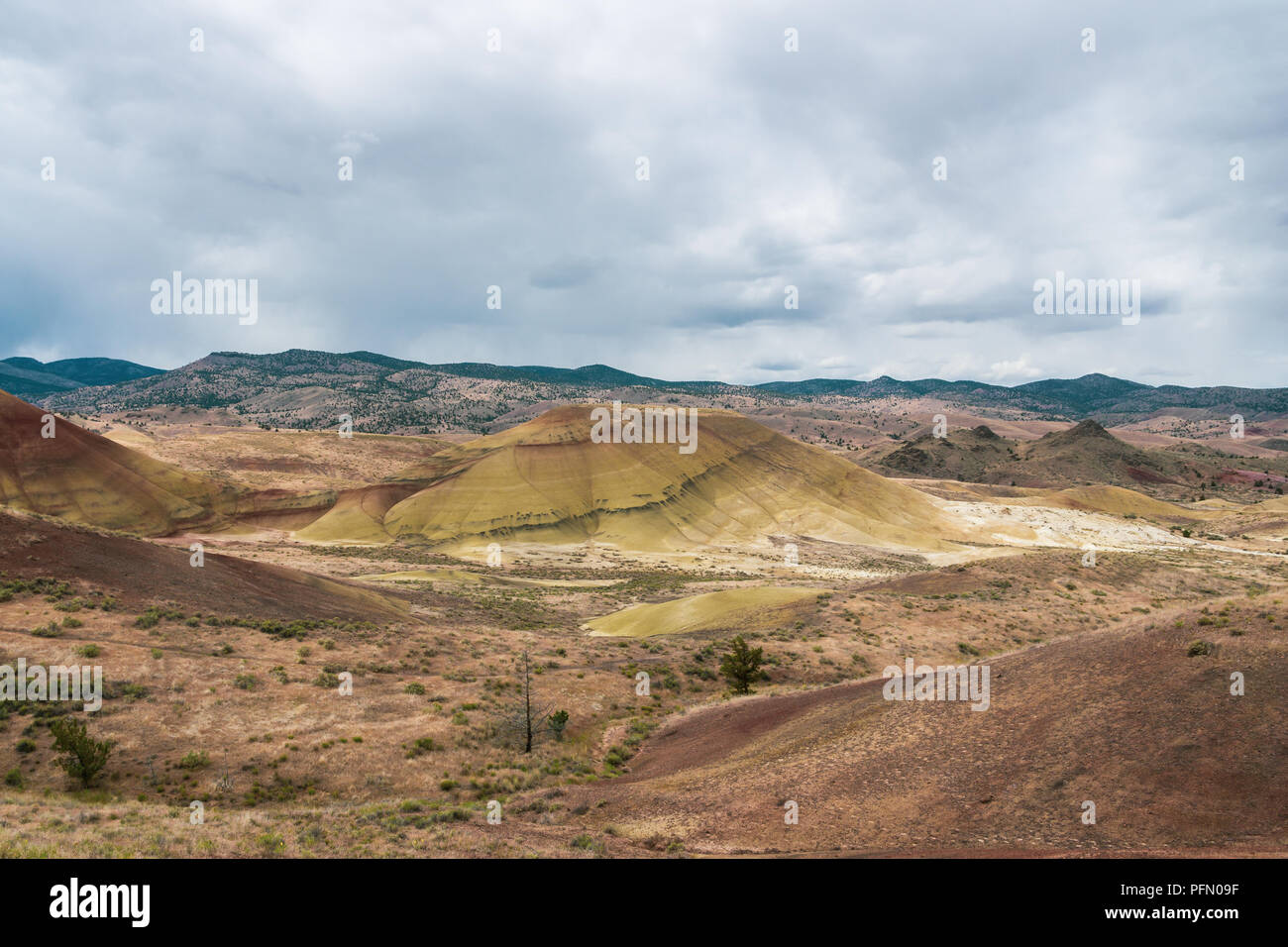 Painted Hills central Oregon desert, eroded sedimentary hills with ...