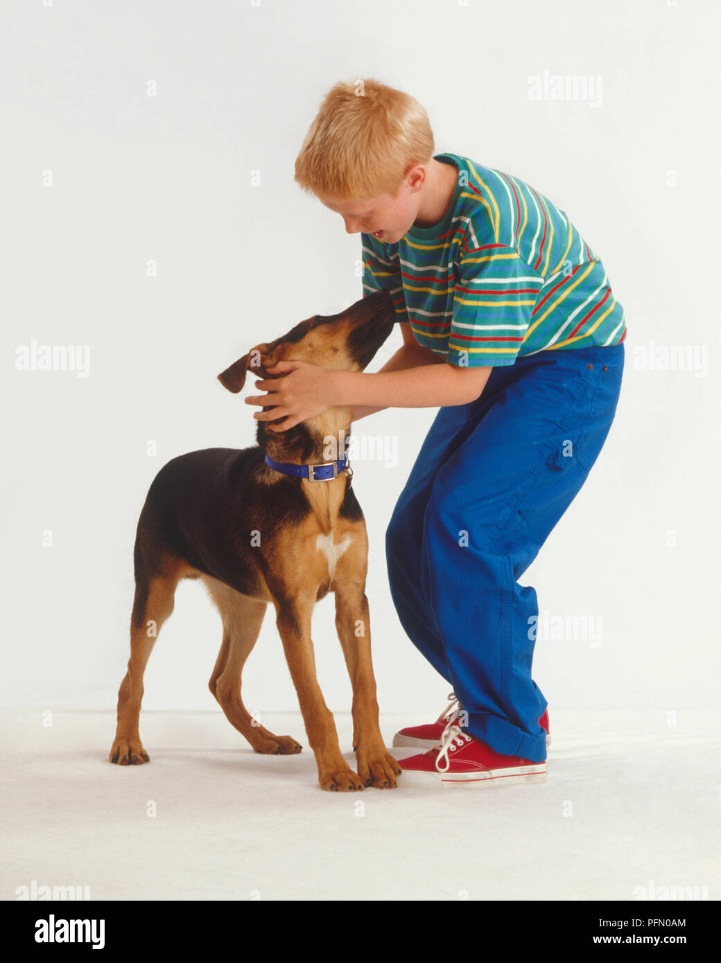 Standing blonde boy bending down to stroke Puppy (Canis familiaris ...