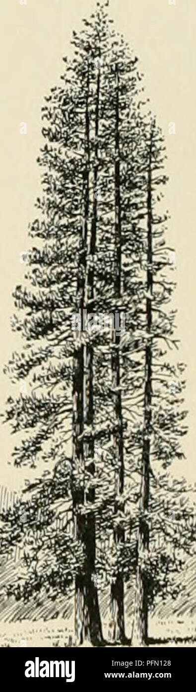 This cyclopedia provides detailed information on the cultivation of ...