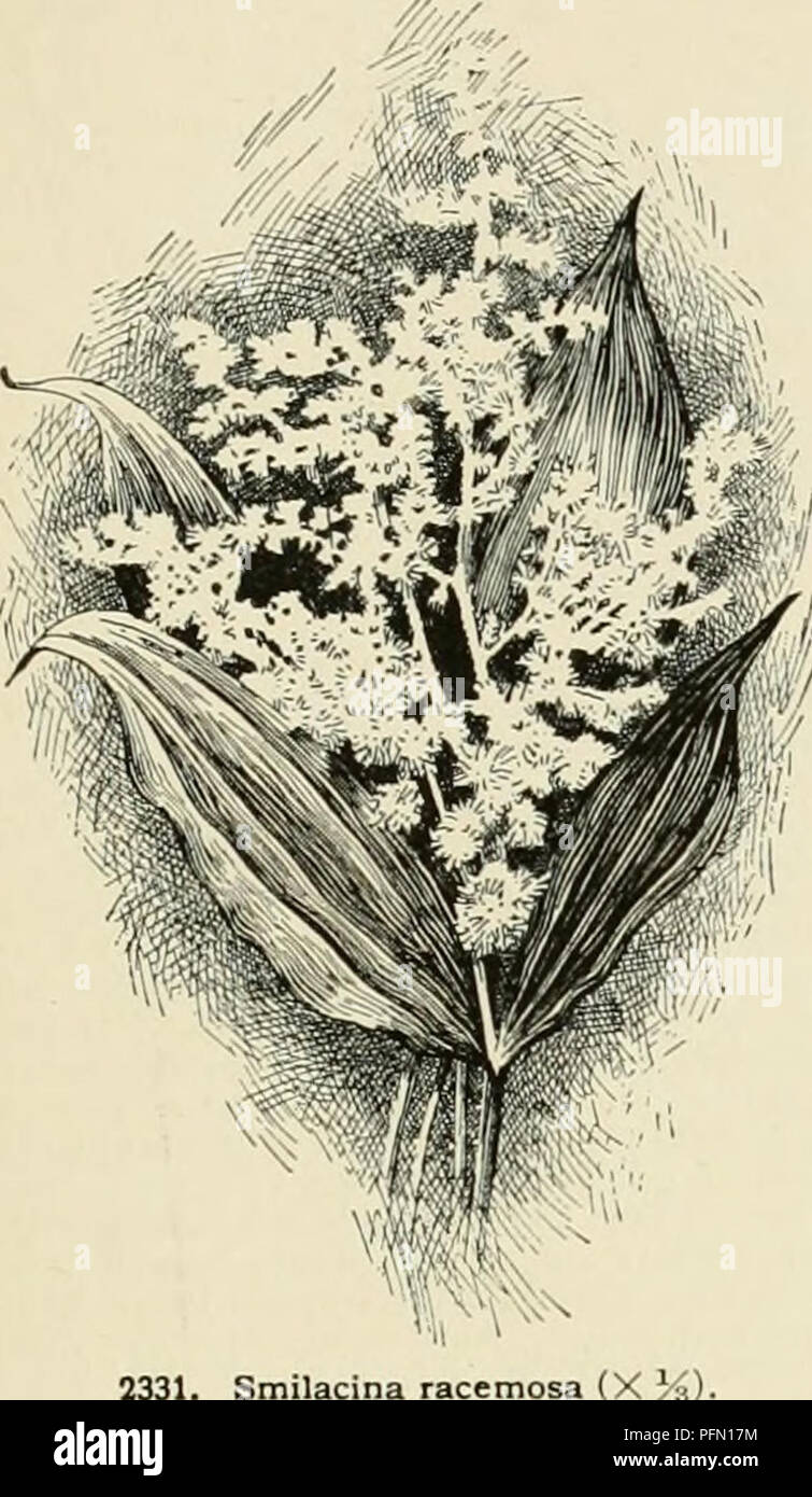 This image illustrates various species of plants and their cultivation ...