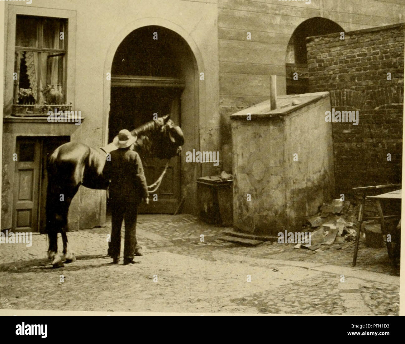 *Denkende Tiere* explores animal intelligence, focusing on horses like ...