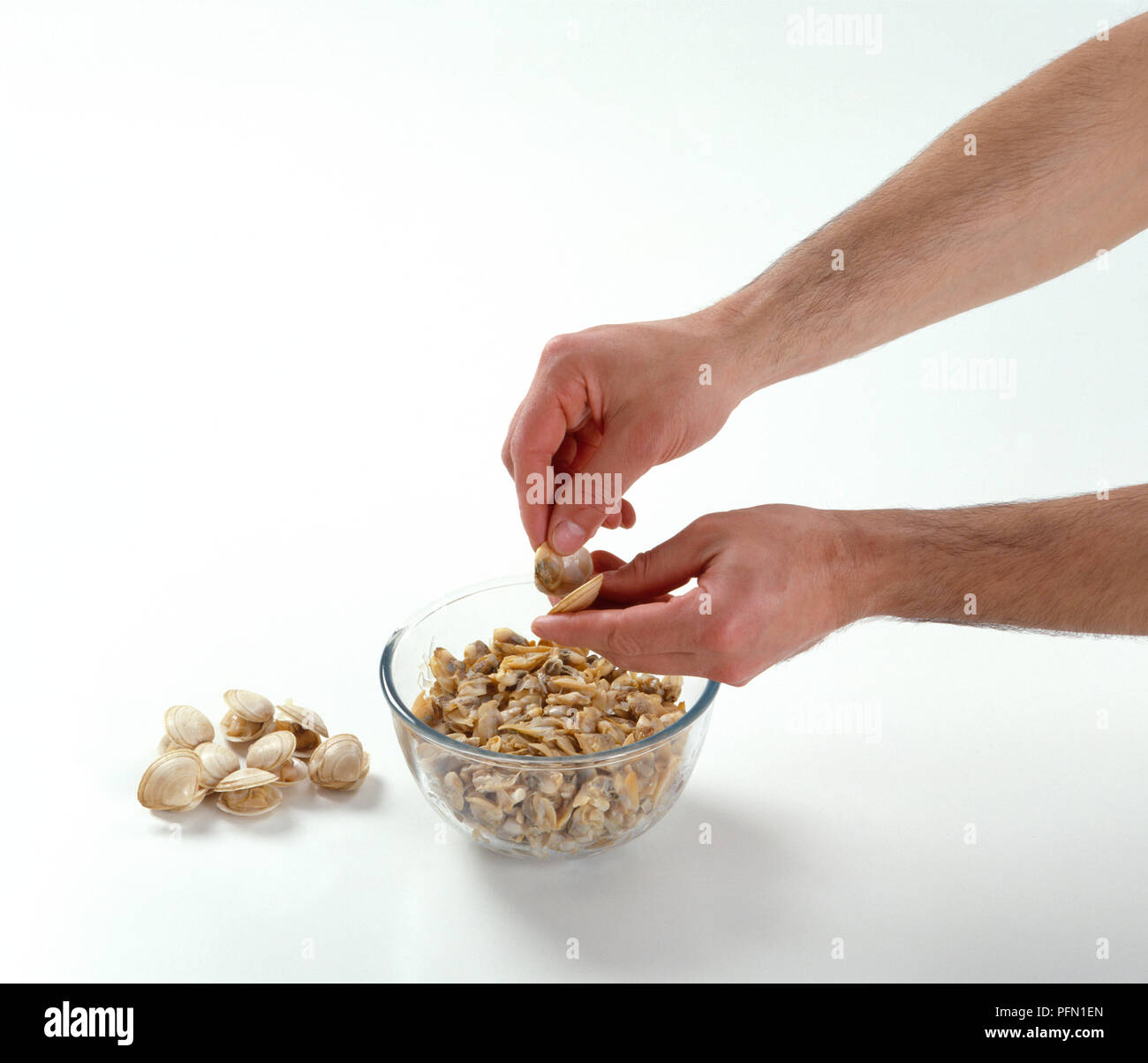 Remove from shells hi-res stock photography and images - Alamy