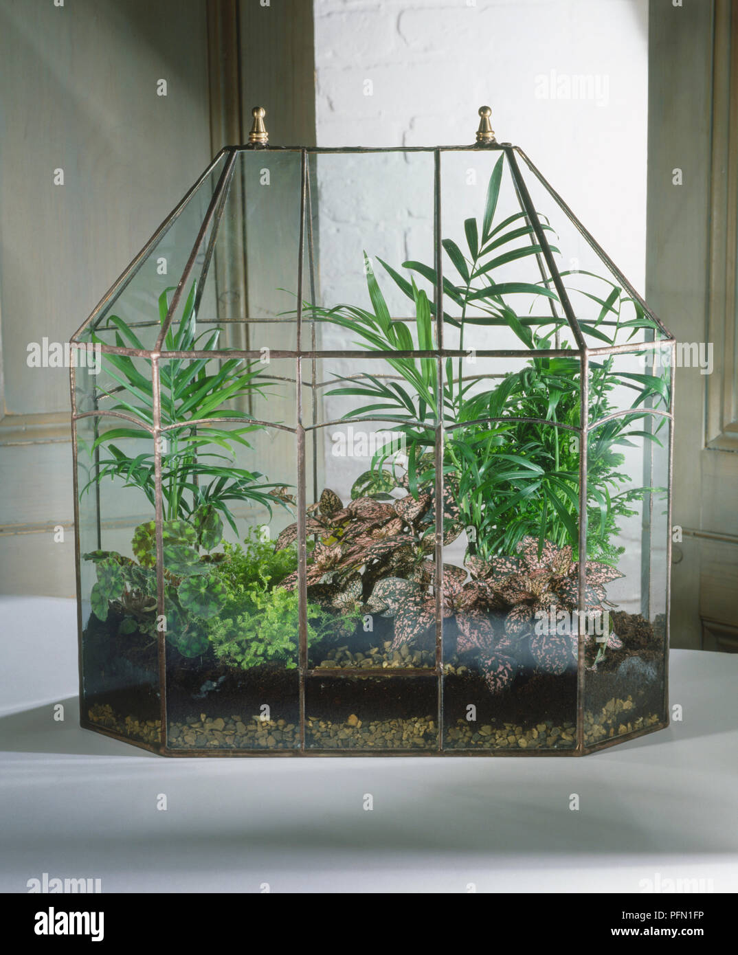 Glass terrarium hi-res stock photography and images - Alamy