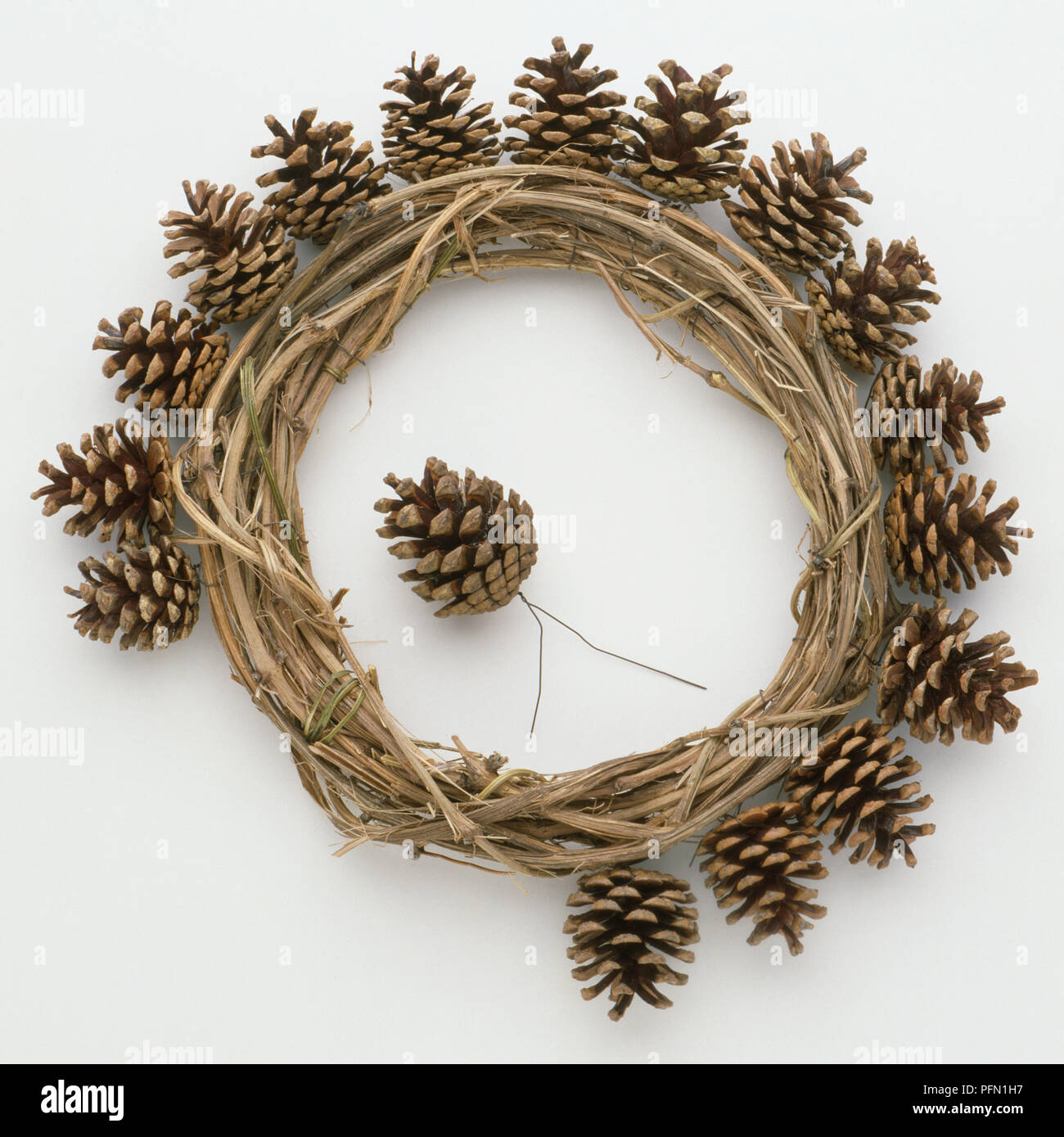 Wreath midway through being encircled with wired pine cones Stock Photo ...