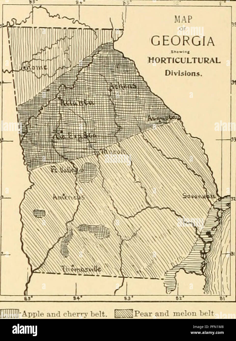 Acaulescent plants hi-res stock photography and images - Alamy