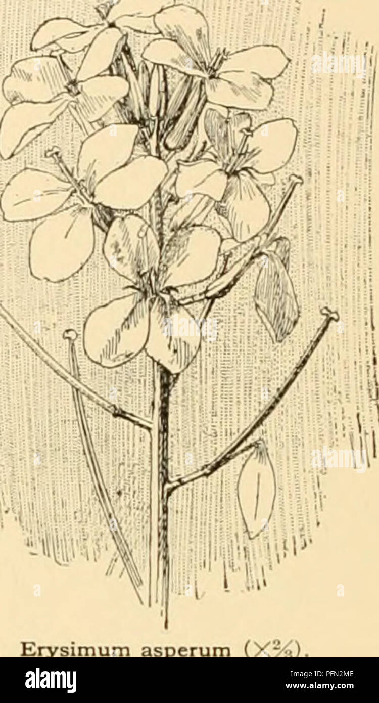 This cyclopedia provides detailed information on the cultivation of ...