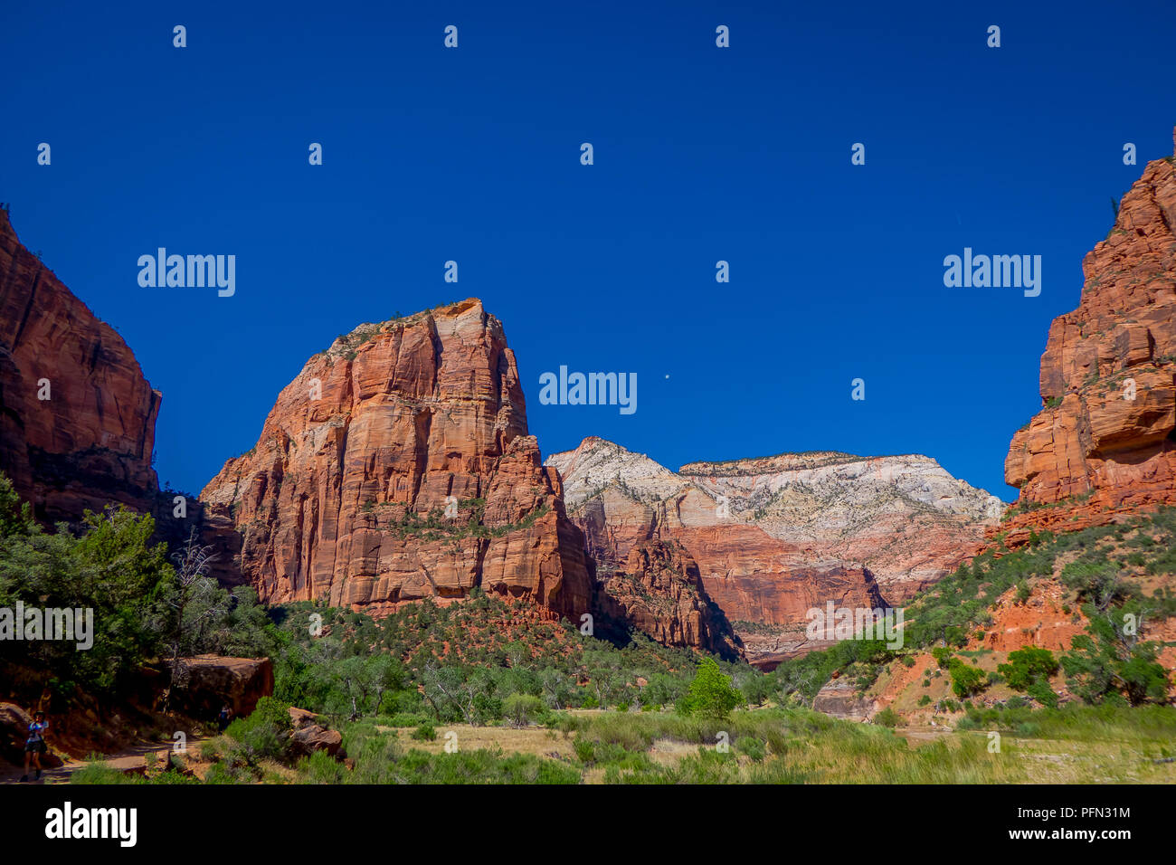 Ridge walk in beautiful scenery in Zion National Park along the Angel's ...