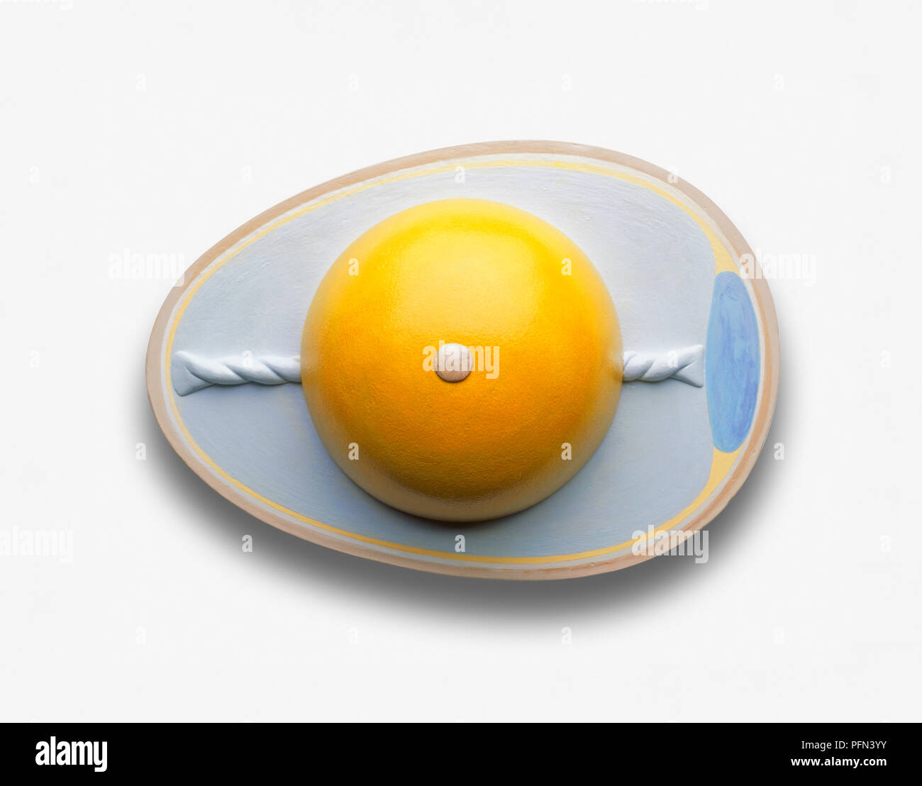 Chicken embryo development hi-res stock photography and images - Alamy