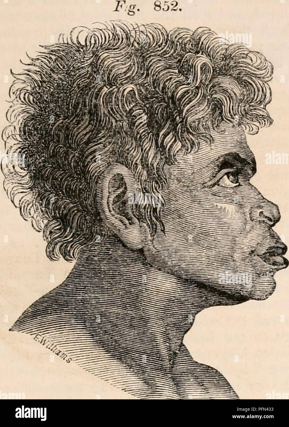 This encyclopedic work covers human anatomy, physiology, and zoology ...