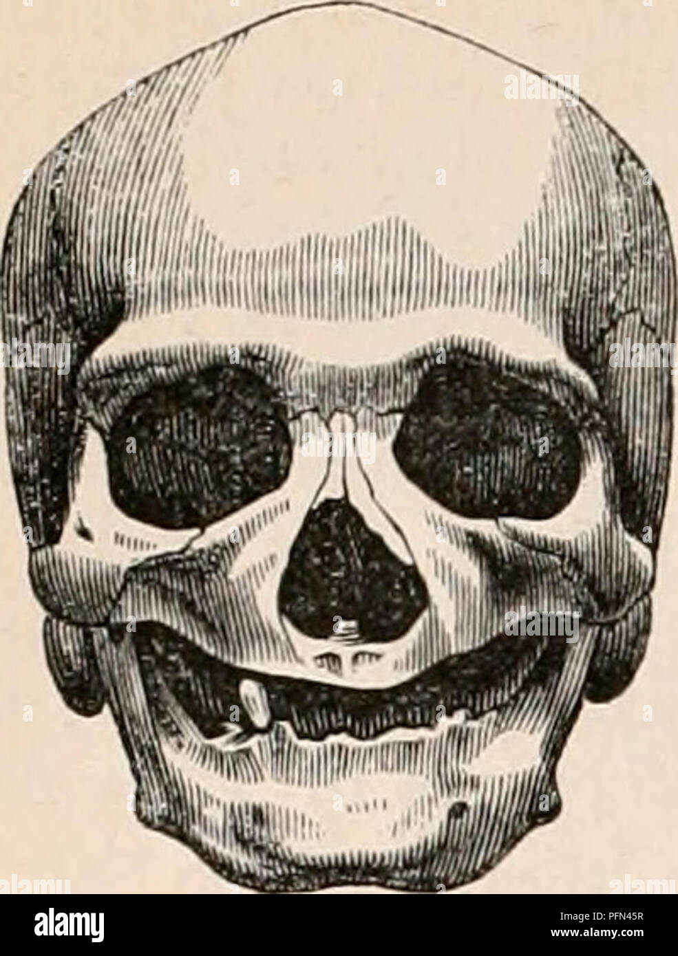 This entry from the cyclopedia discusses the varieties of mankind ...