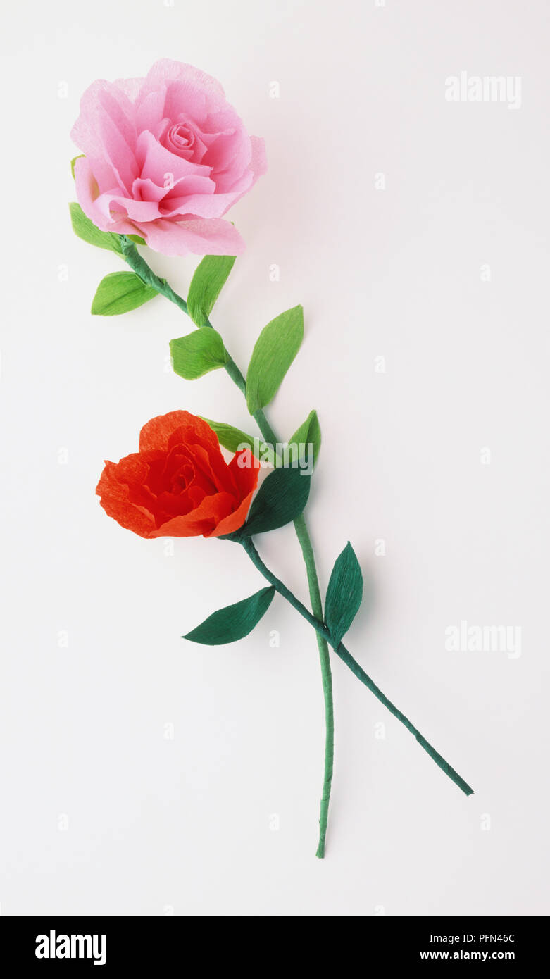 Two are one flowers hi-res stock photography and images - Alamy