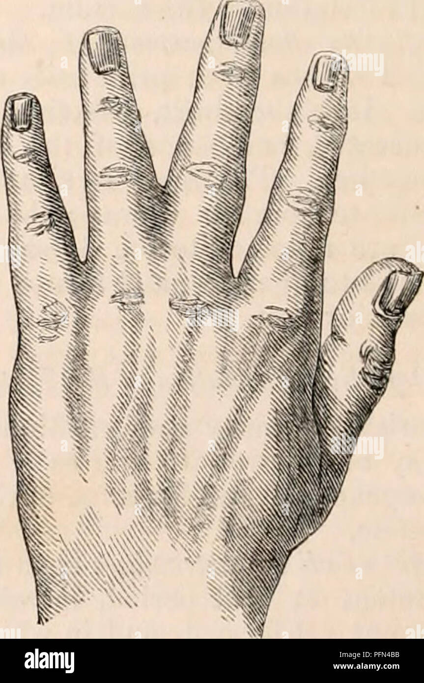 This reference book on anatomy and physiology by Robert Bentley Todd ...