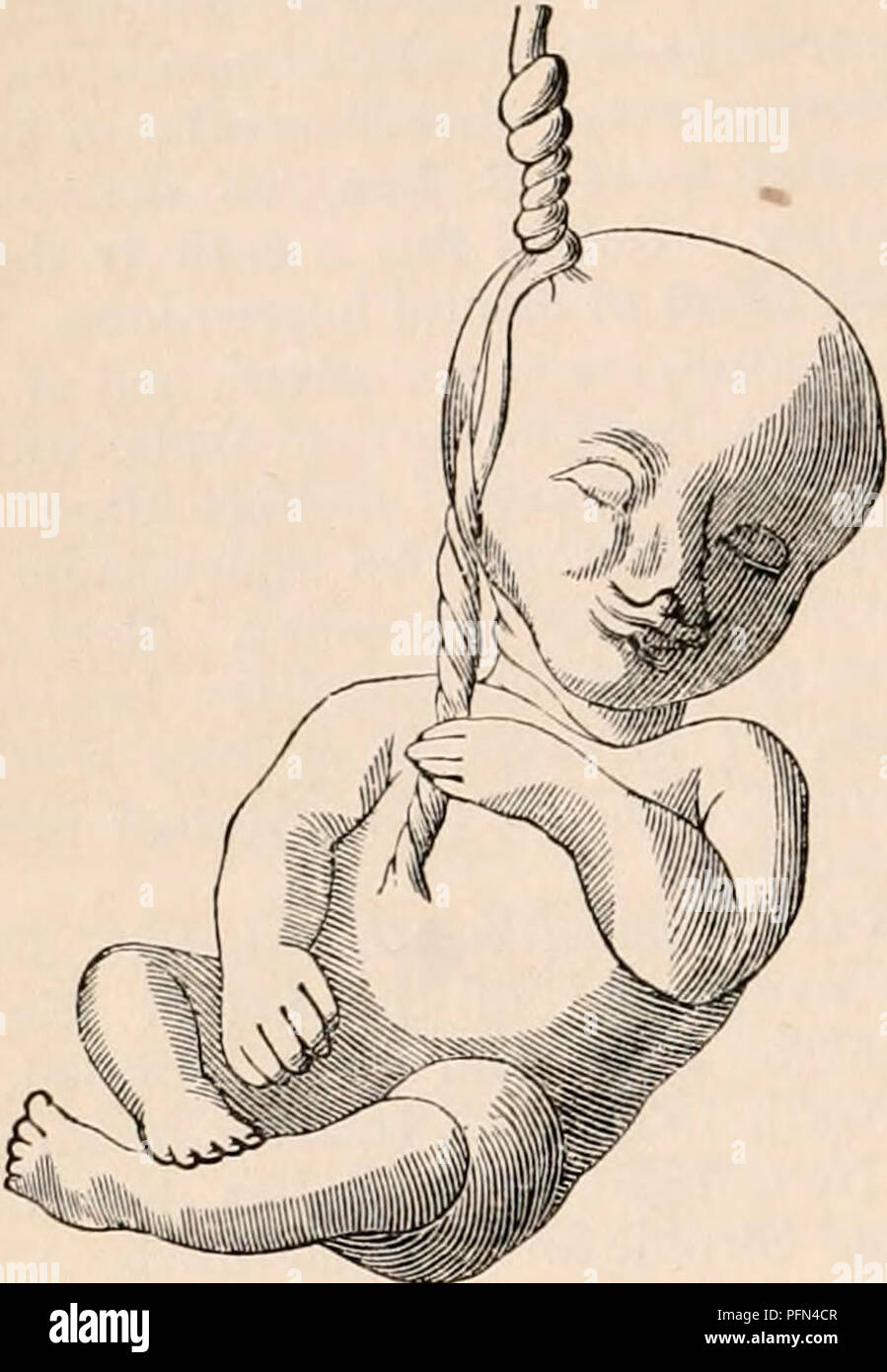 This comprehensive reference covers various aspects of anatomy and ...
