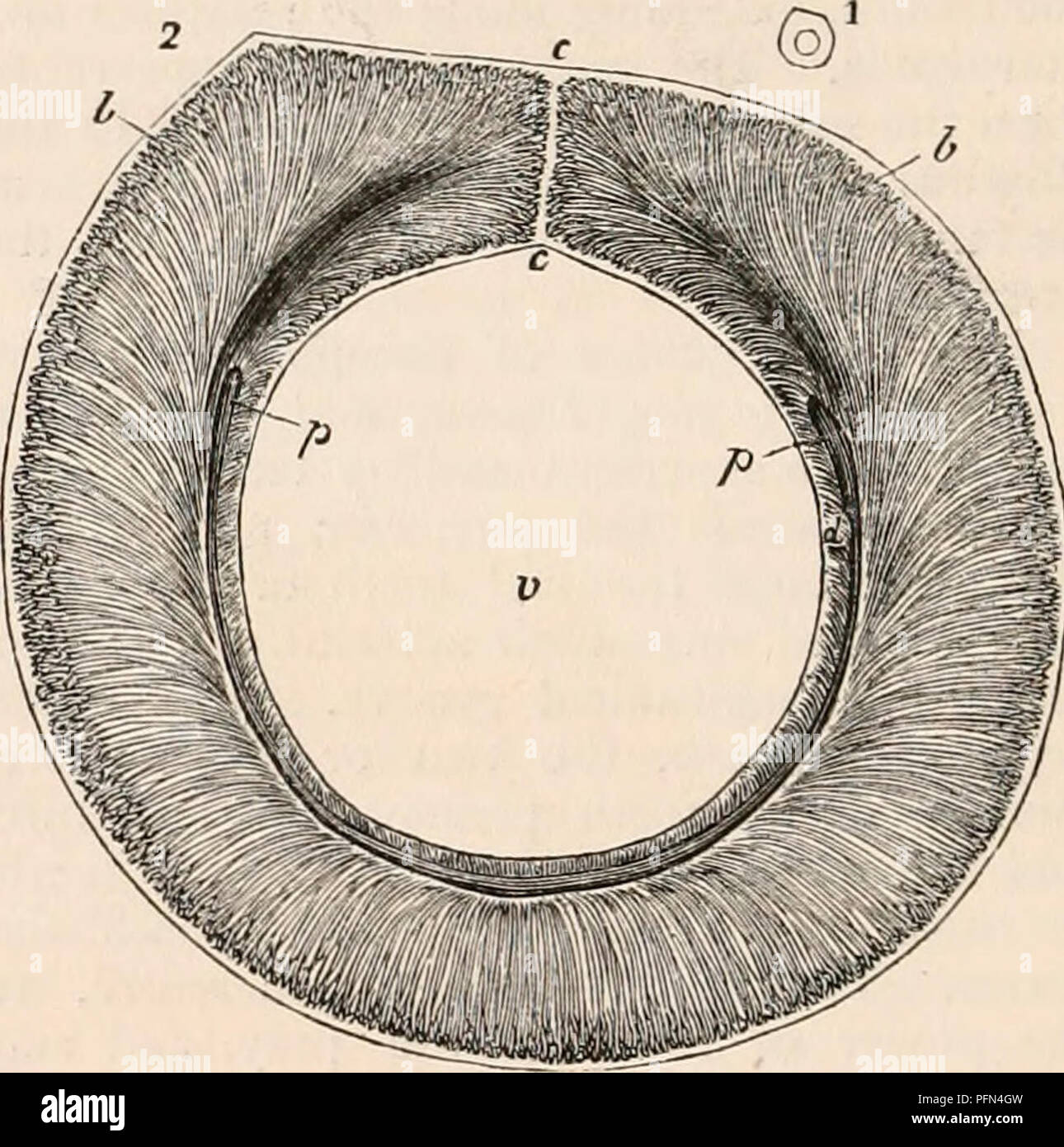 Resumes again hi-res stock photography and images - Alamy