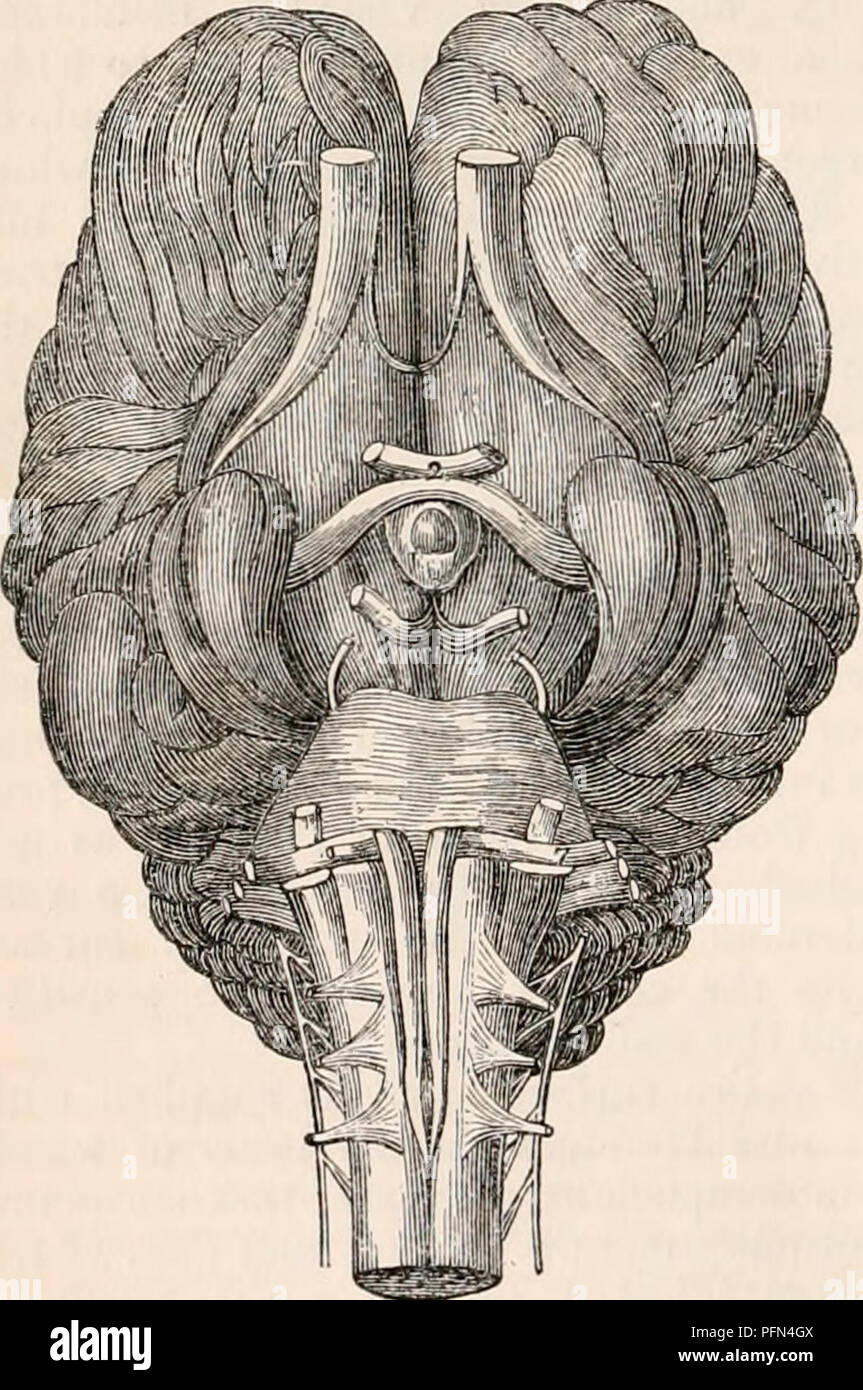 This reference covers the anatomical and physiological features of the ...