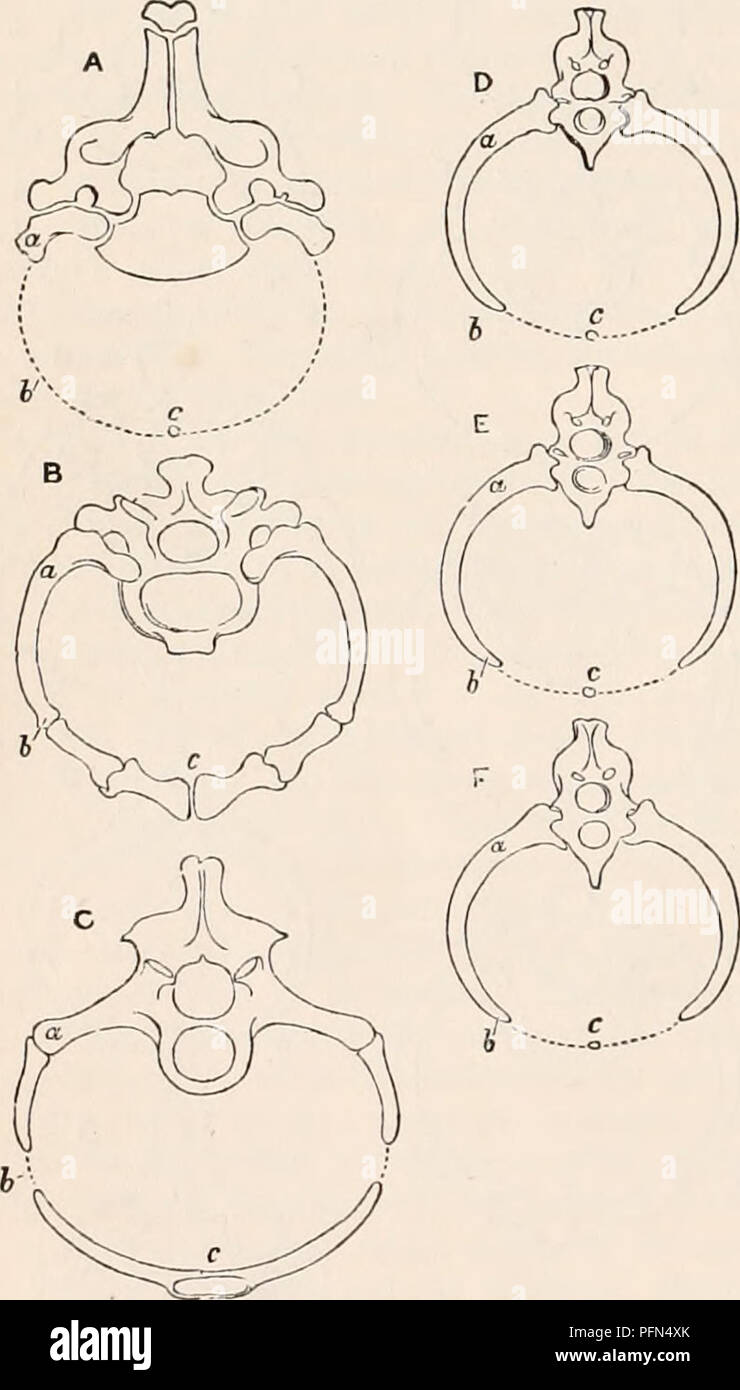 Minus quantities hi-res stock photography and images - Alamy