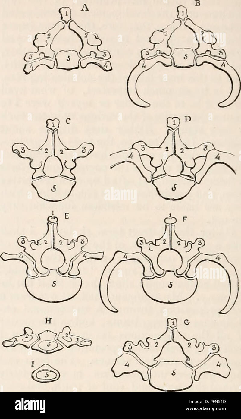 A comprehensive reference book on human anatomy and physiology ...