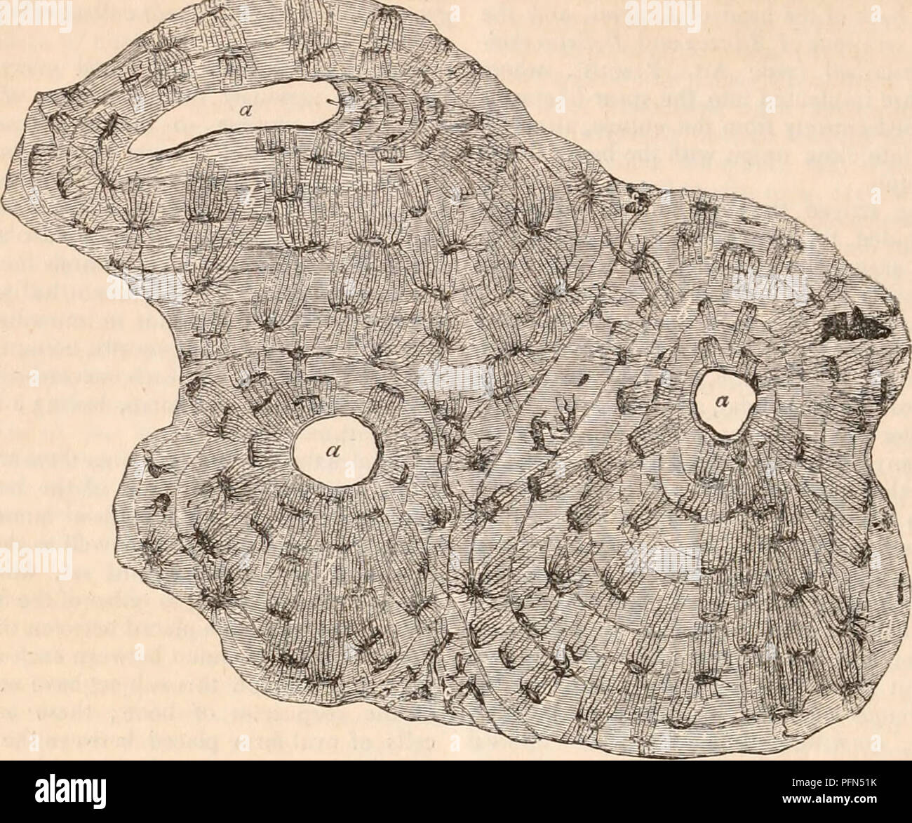 Concentric canals hi-res stock photography and images - Alamy