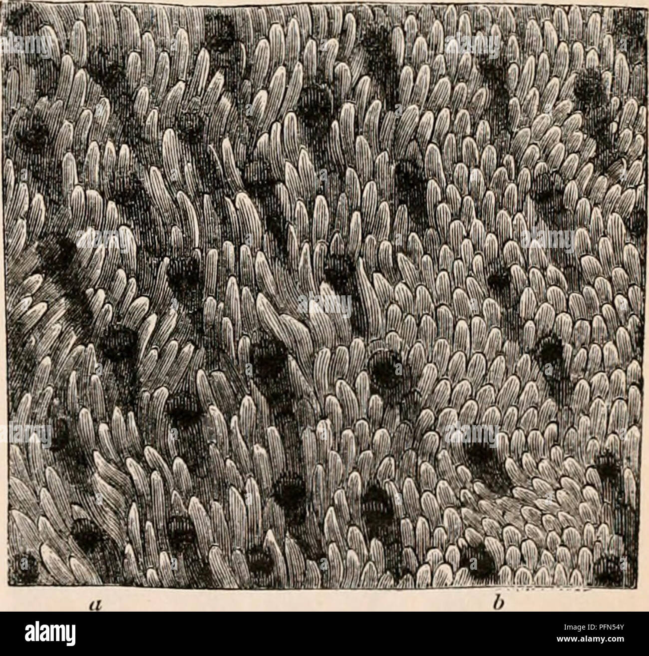 Internal margin hi-res stock photography and images - Alamy