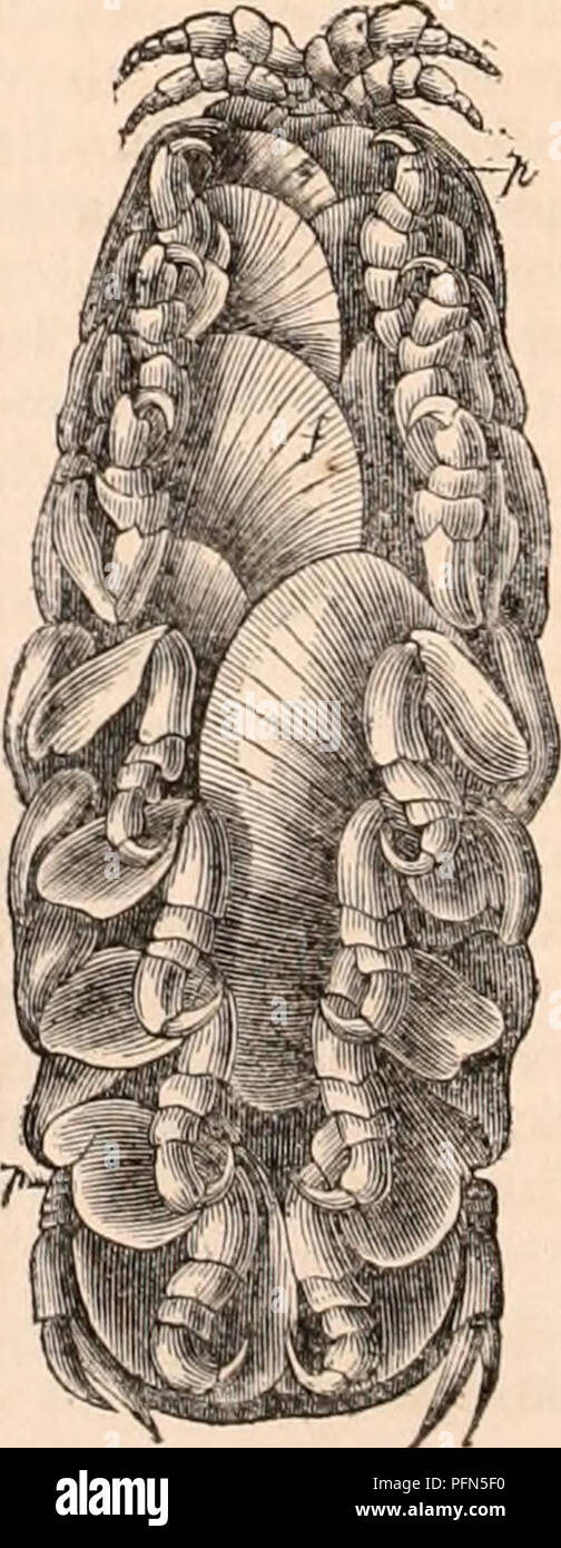 This anatomical and physiological guide explores the structure and ...