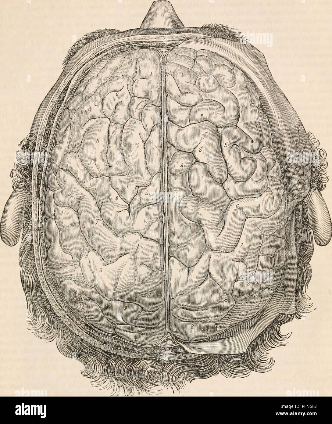 The *Cyclopedia of Anatomy and Physiology* provides detailed anatomical ...