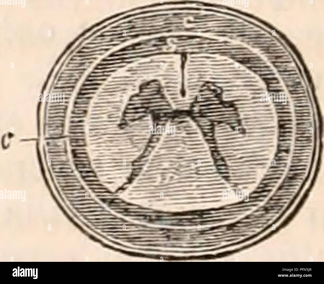 This detailed image focuses on the anatomy and physiology of the human ...