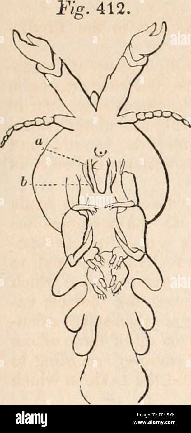 This comprehensive reference work on anatomy and physiology includes ...