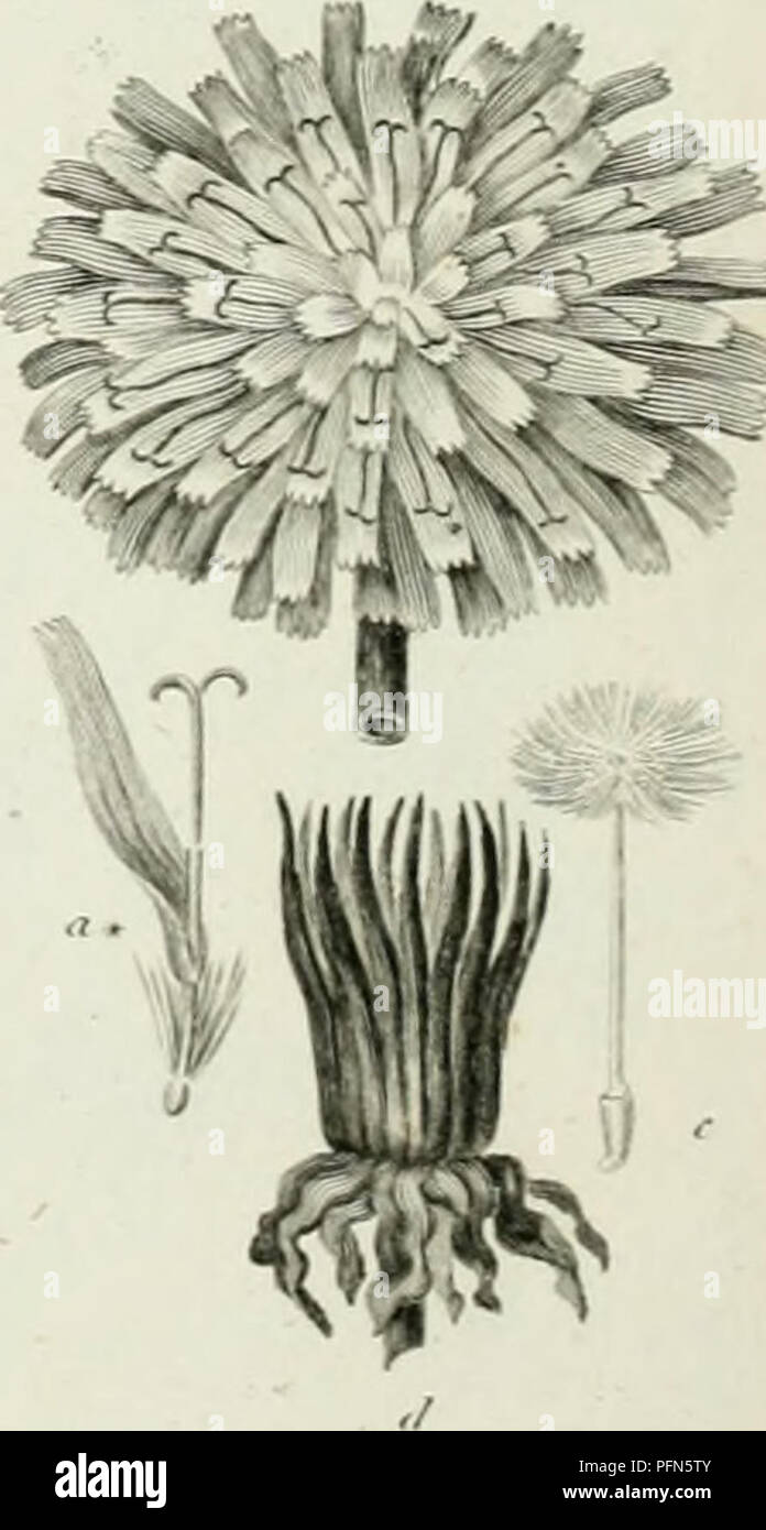 This encyclopedic work provides an extensive collection of knowledge ...