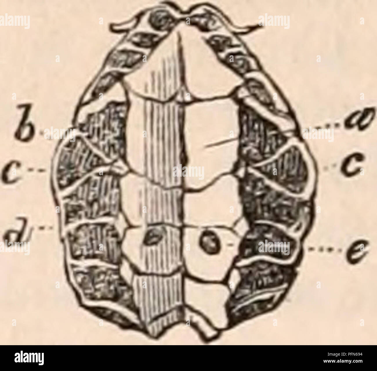 Severally e hi-res stock photography and images - Alamy