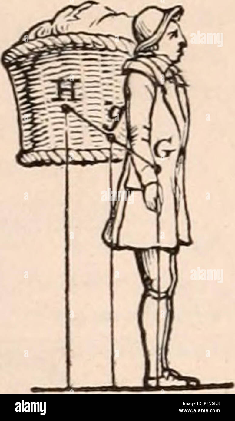 This image illustrates the concept of levers, particularly the third ...