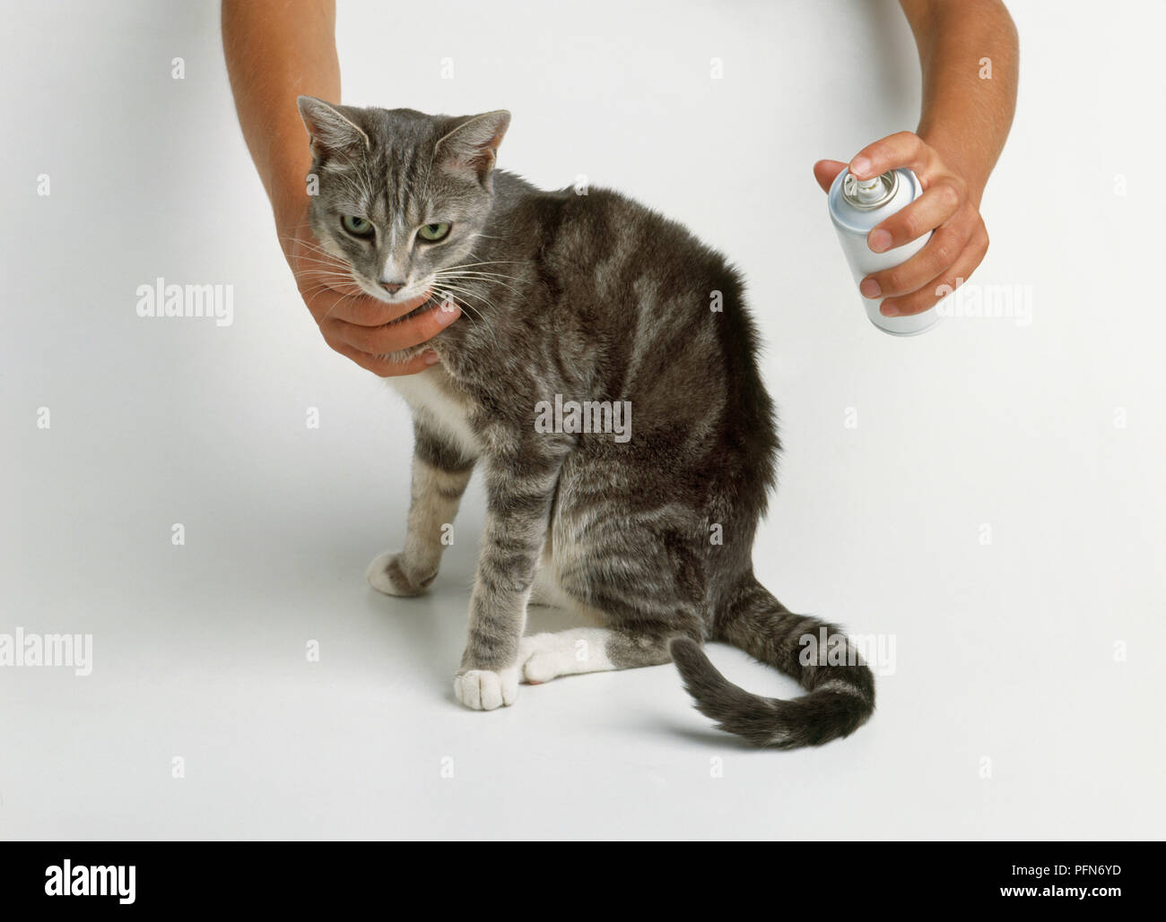 Using a spray can hi-res stock photography and images - Alamy