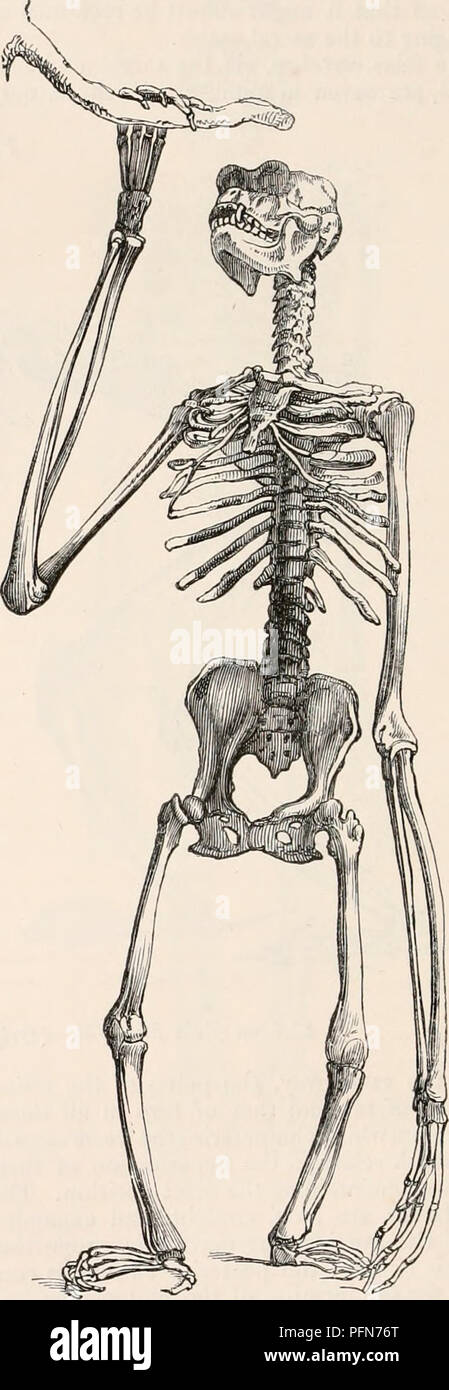 . The cyclopædia of anatomy and physiology. Anatomy; Physiology ...