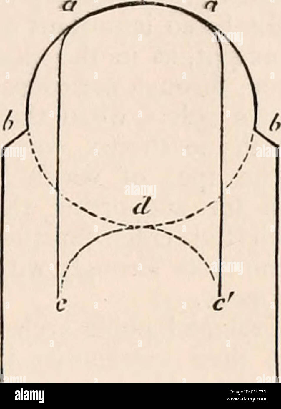 This comprehensive cyclopedia covers the anatomy and physiology of ...