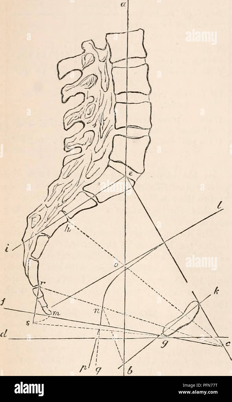 . The cyclopædia of anatomy and physiology. Anatomy; Physiology ...