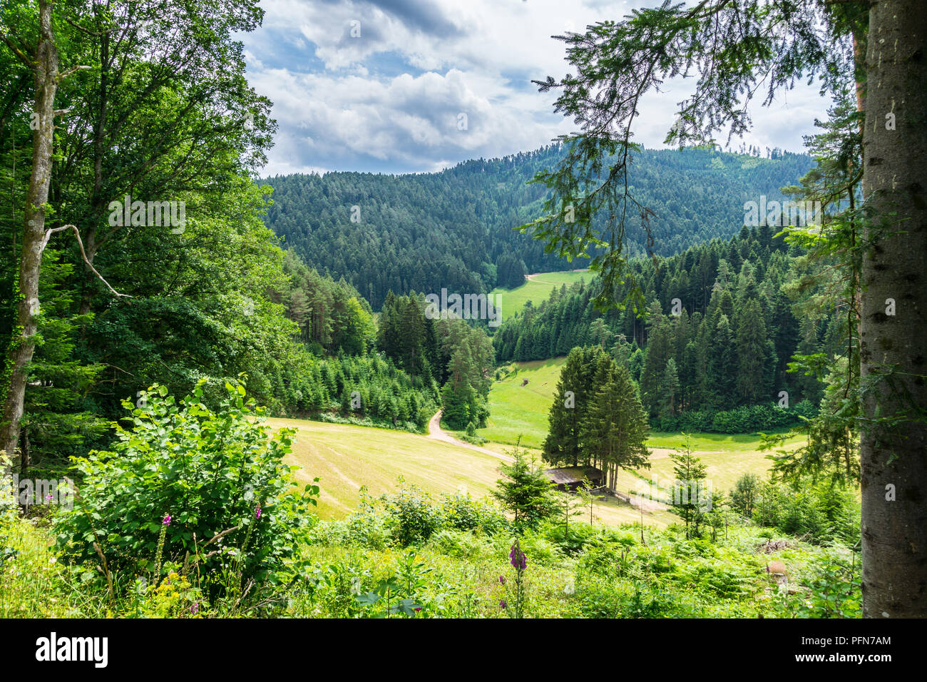 Black forest germany landscape hi-res stock photography and images - Alamy