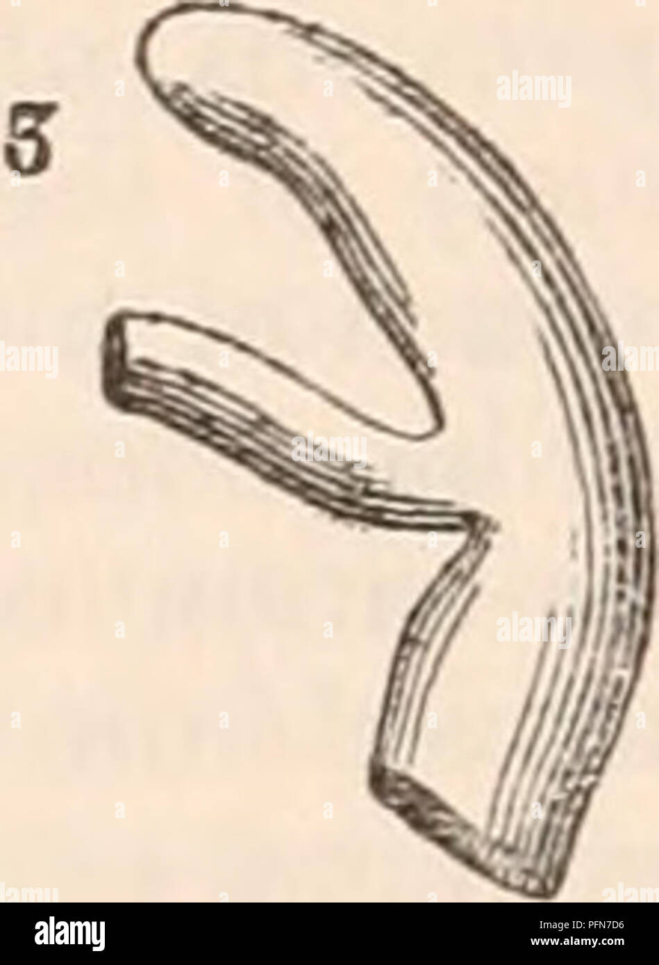 This comprehensive resource on anatomy and physiology provides detailed ...
