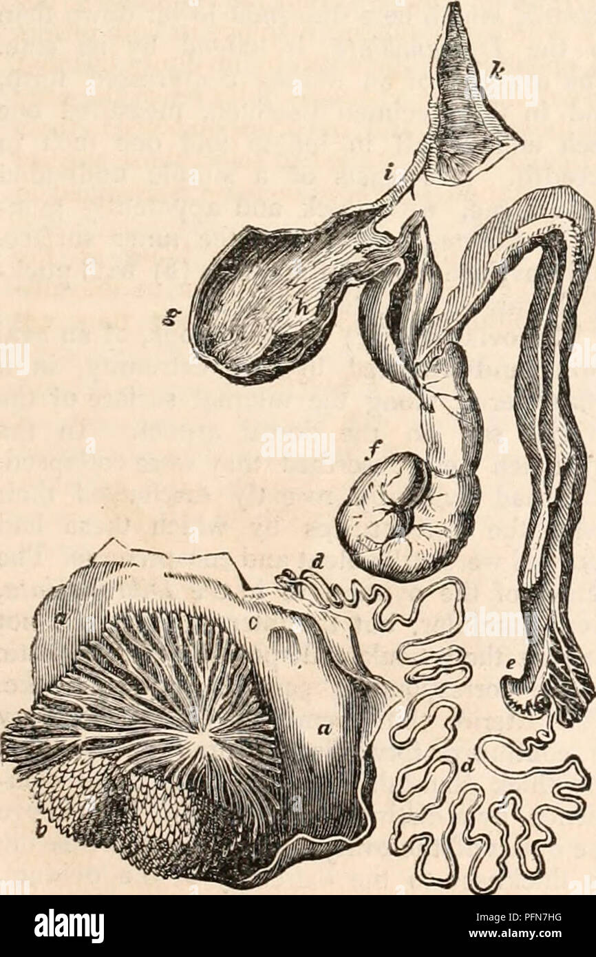 This volume on anatomy and physiology provides detailed descriptions of ...