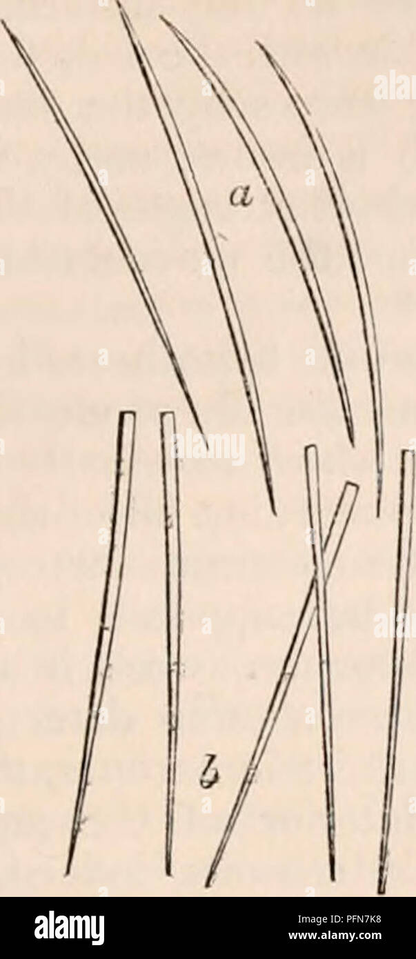 Fluid driven hi-res stock photography and images - Alamy