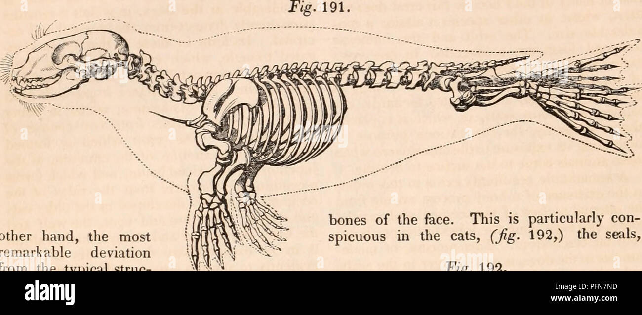 This cyclopedia covers the anatomy, physiology, and zoology of various ...