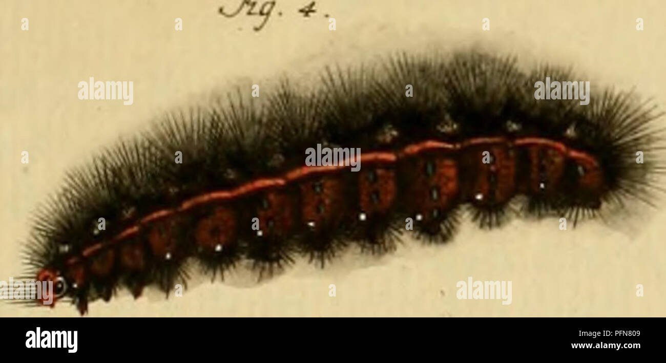 This book features detailed illustrations and descriptions of various ...