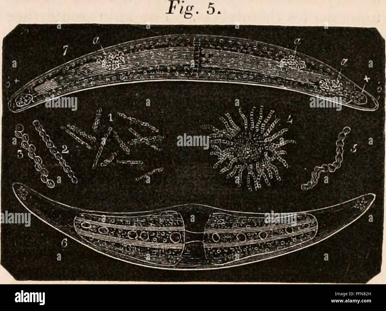 Only on closer inspection hi-res stock photography and images - Alamy