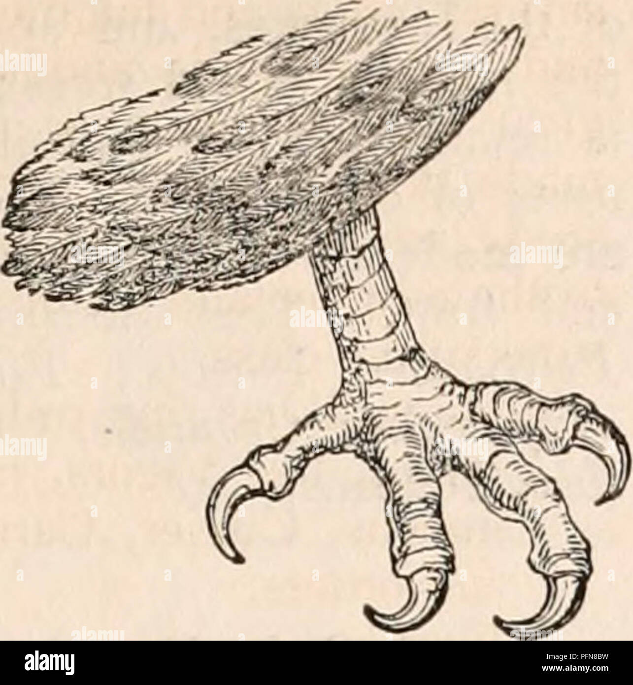 This work provides a detailed overview of anatomy and physiology, with ...