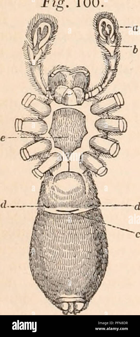 This comprehensive work covers the anatomy, physiology, and zoology of ...