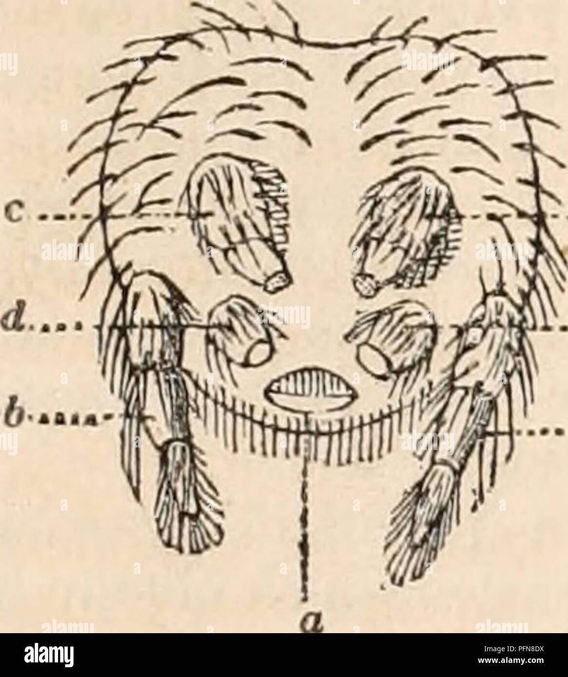 This cyclopedia offers in-depth information on the anatomy and ...