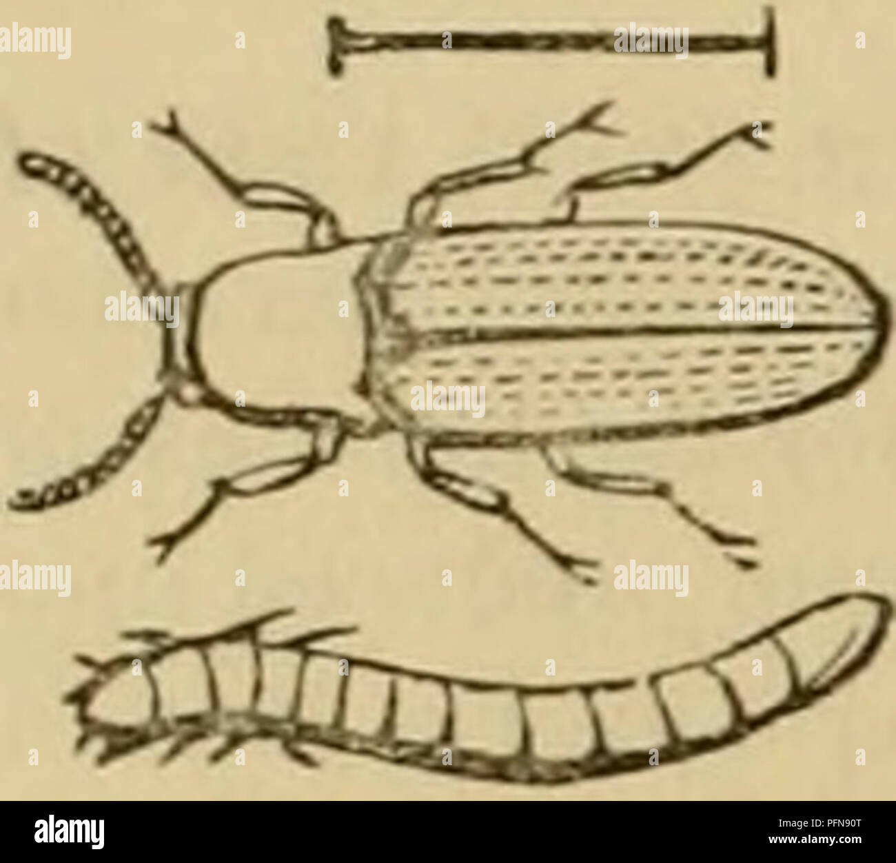 Cylindrical sides hi-res stock photography and images - Alamy
