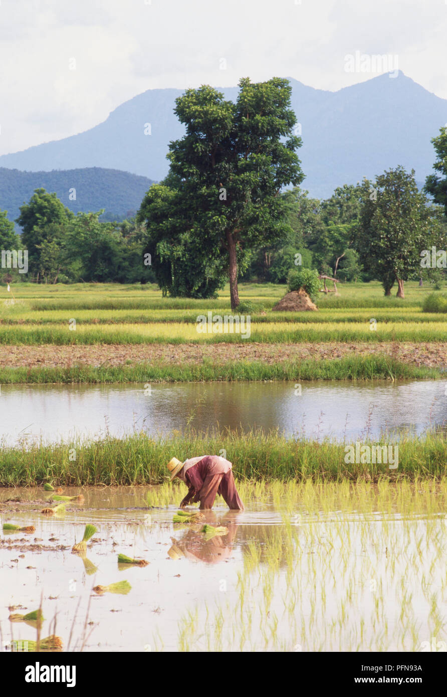 Central Plains Landscape