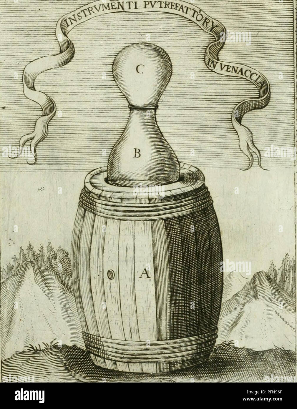 This alchemical manuscript, titled 'Dell'elixir vitæ,' explores the ...