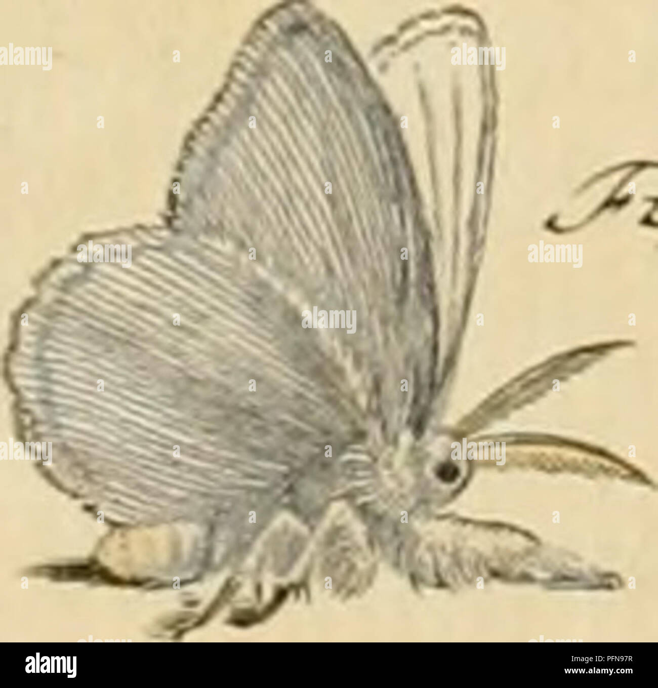 This work provides a detailed and visually rich account of insects ...