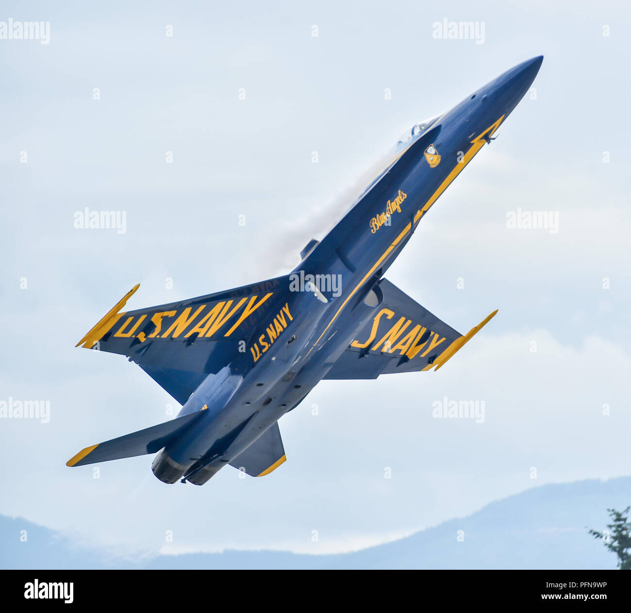 180811-N-IR734-2044 ABBOTSFORD, B.C. (August 11, 2018) The U.S. Navy ...