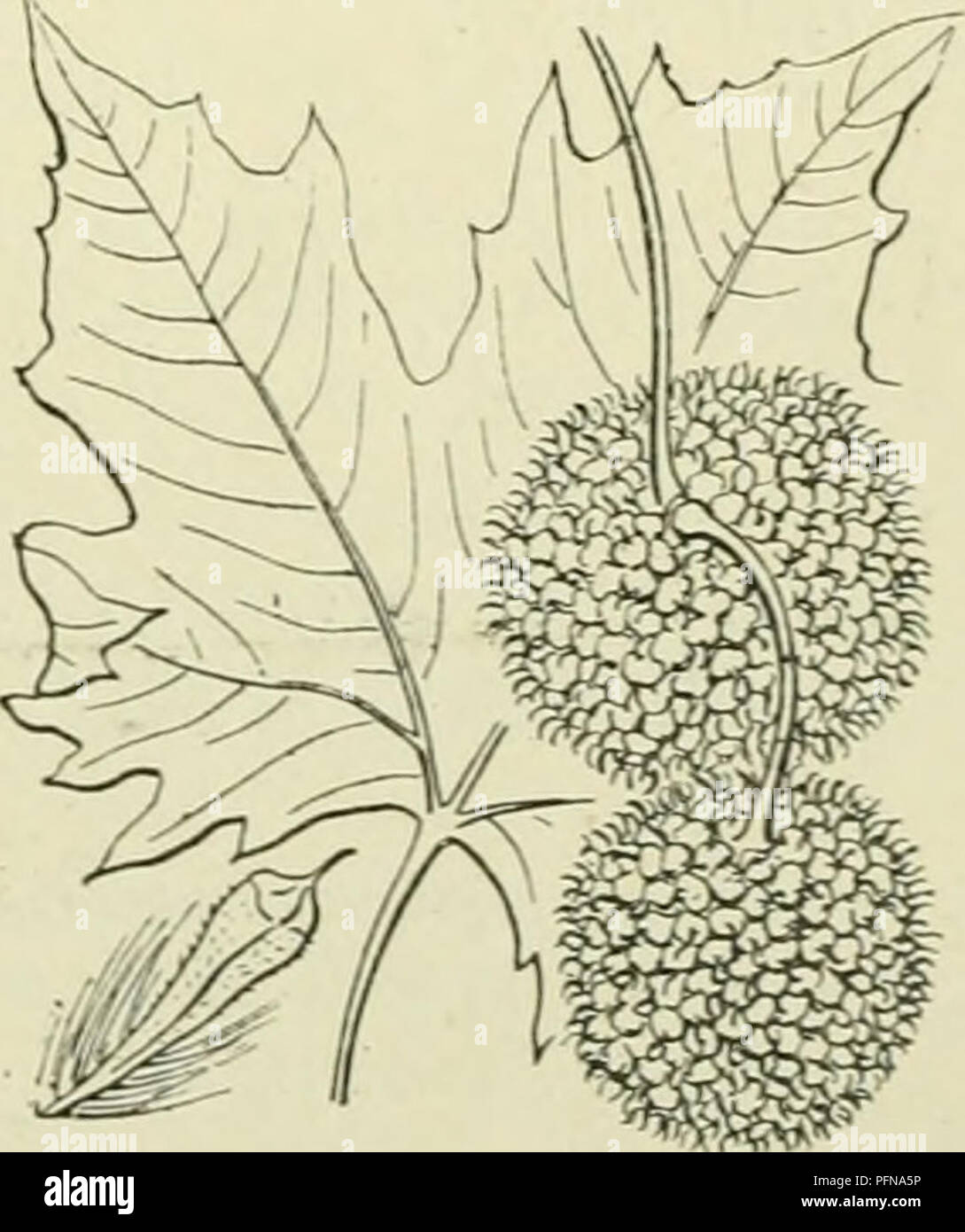 Bestaan hi-res stock photography and images - Alamy